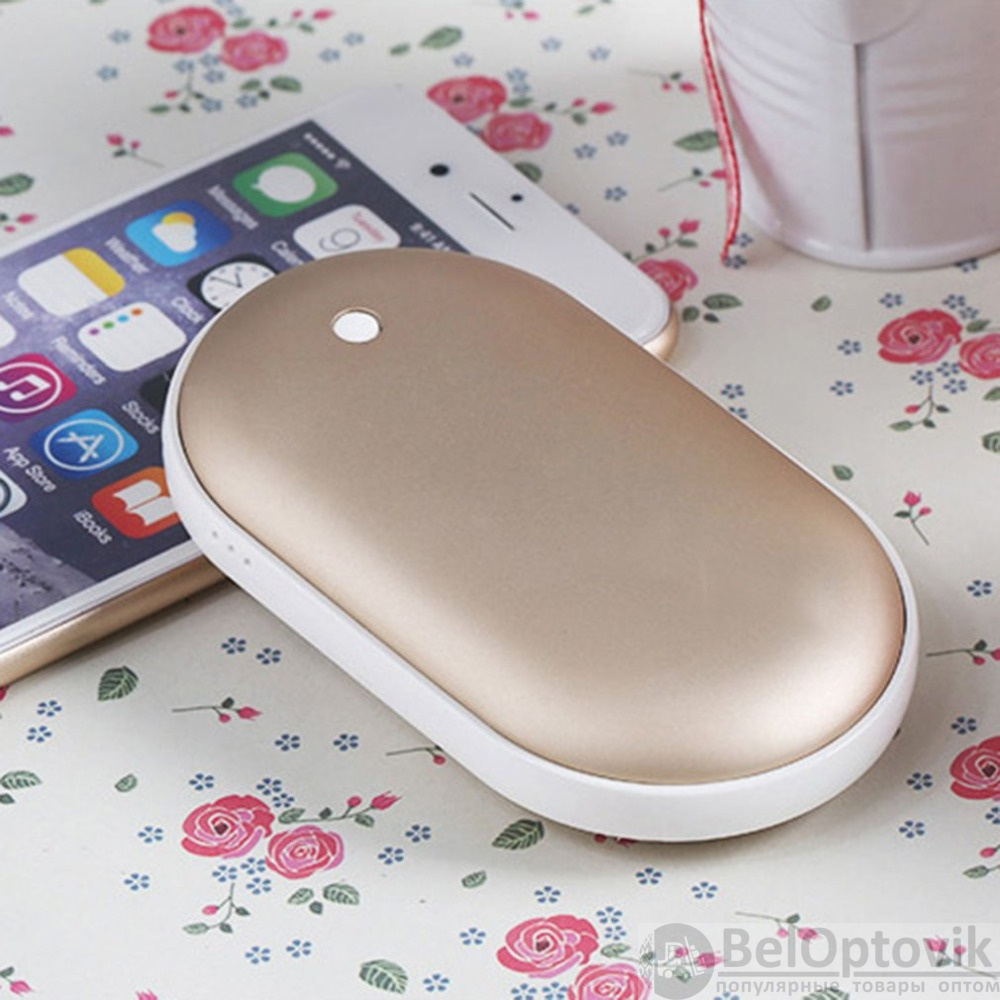 Pebble power bank store